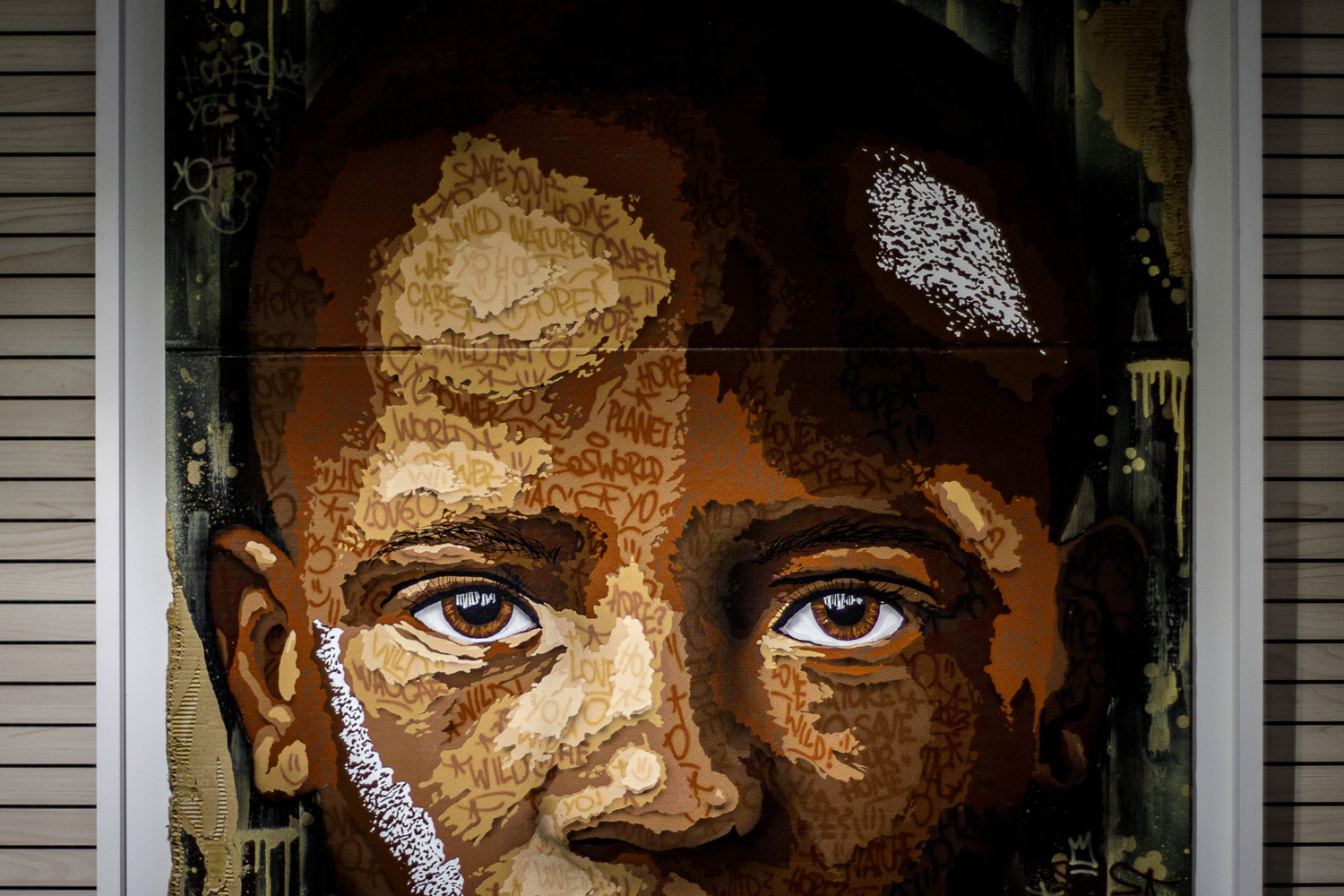 Inteligência artificial: como Edis One quer salvar o planeta